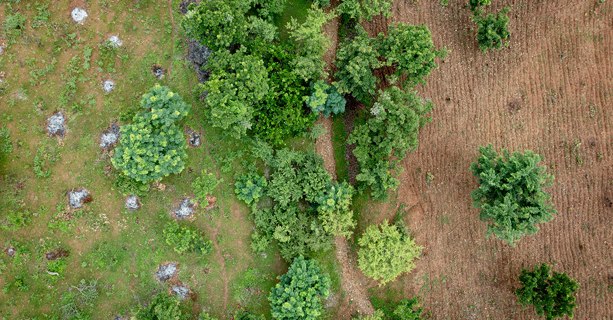 Climate action in agriculture is essential for food security ...