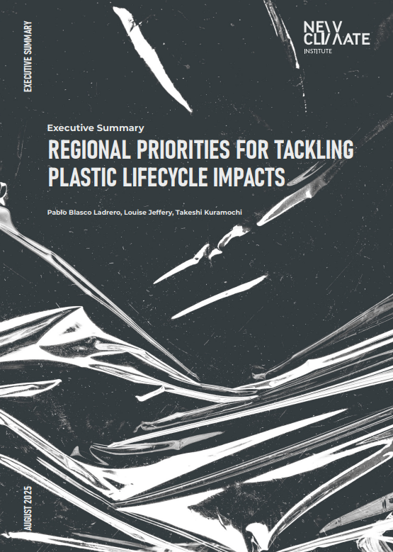 Regional priorities for tackling plastic lifecycle impacts | NewClimate Institute